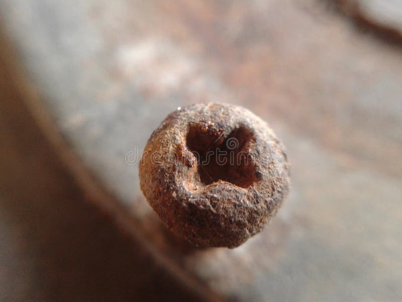 Rusty nut in industry site stock image. Image of food - 208322241