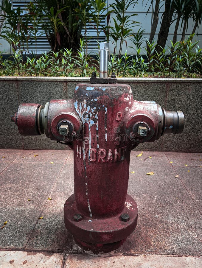 Close-up of a Rusty Red Fire Hydrant on a Public Street Stock Image ...