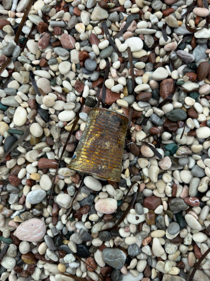 Rusty Tin Can Washed Ashore by the Sea during a Storm Stock Photo ...