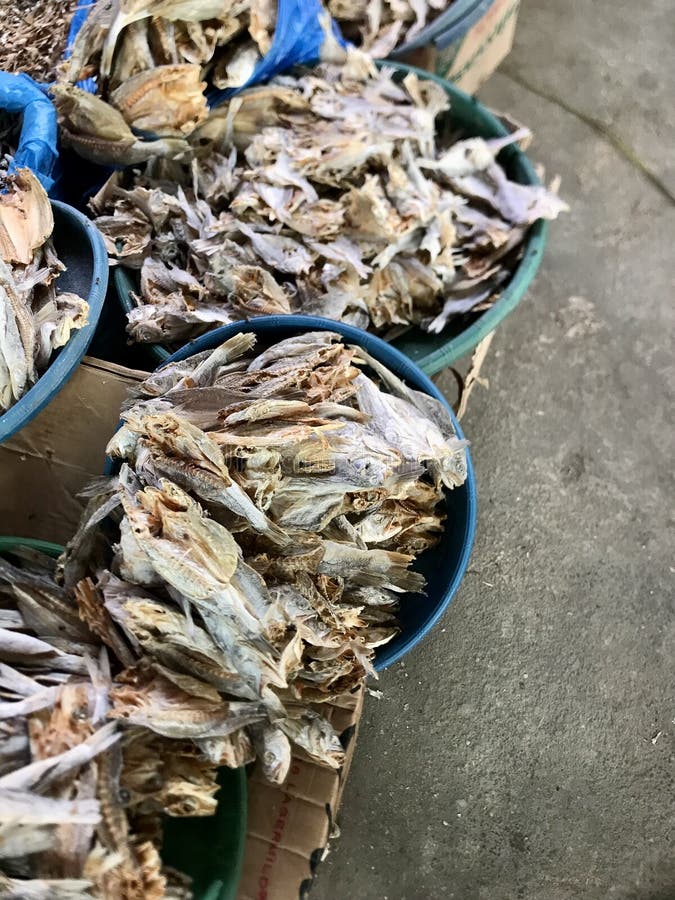 Close Up of the Salted Fish on the Market Stock Image - Image of food ...