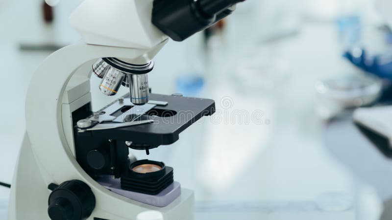 Close Up. Sample on Glass Under a Microscope Stock Image - Image of ...