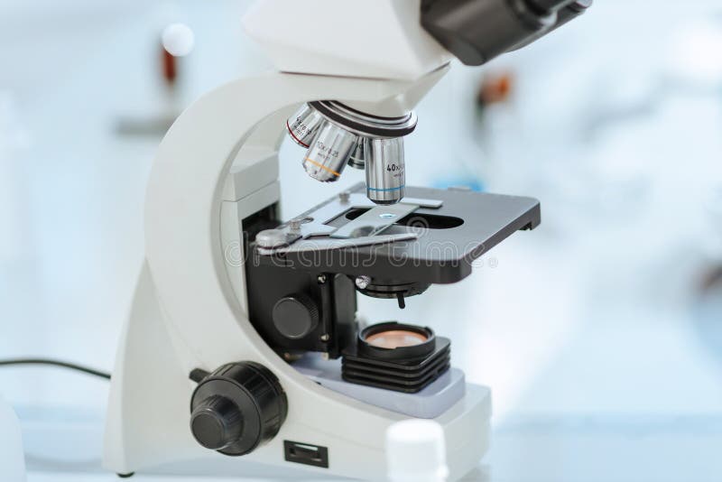 Close Up. Sample on Glass Under a Microscope Stock Image - Image of ...