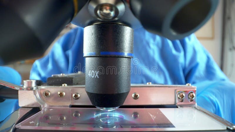 Close-up of Sample Slide on a Microscope Table. Blue Toned Stock Video ...