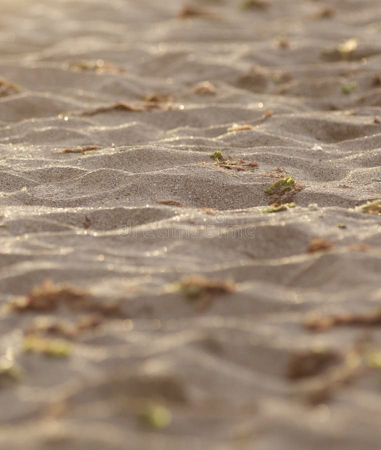 Close up of sand stock photo. Image of nature, beach, undulating - 2901844