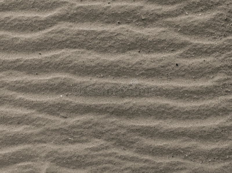 Close-up of Sand on the Beach, with Grains of Seashells. Close-up View ...