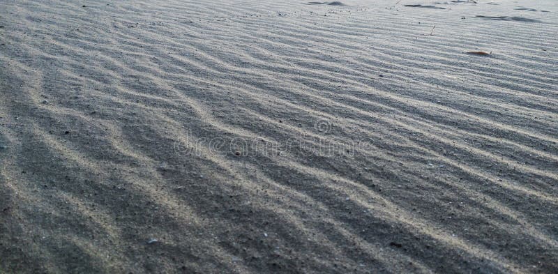 Close-up of Sand on the Beach, with Grains of Seashells. Close-up View ...