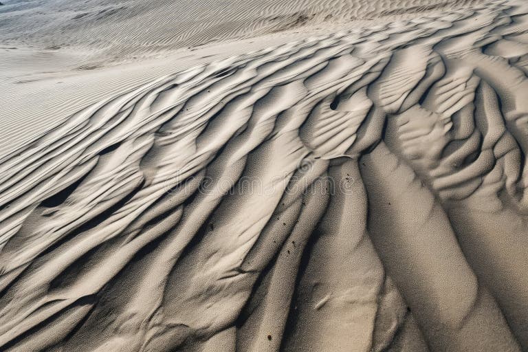 Close-up of Sand Dune with Intricate Patterns and Textures Visible ...