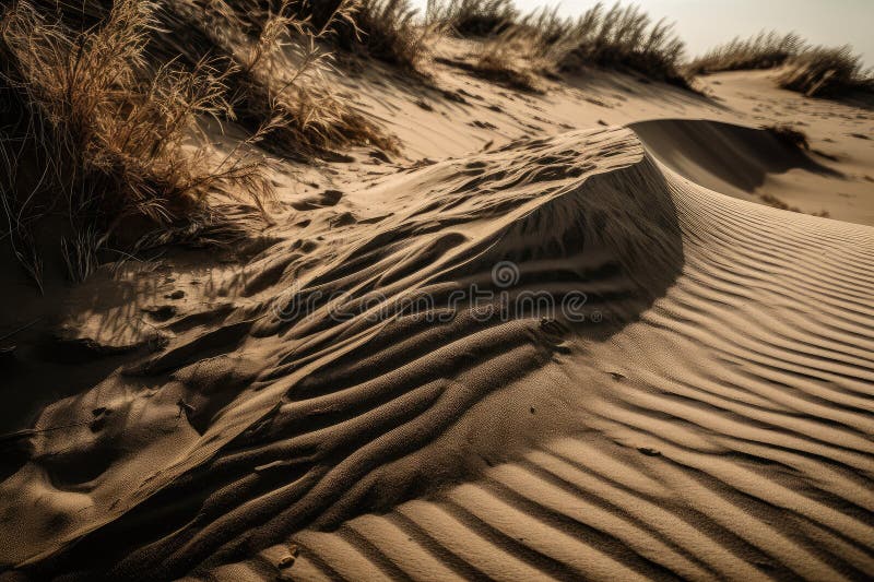 Close-up of Sand Dune with Intricate Patterns and Textures Visible ...