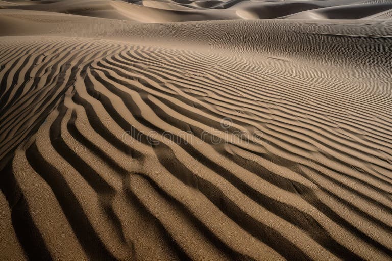 Close-up of Sand Dune with Intricate and Shifting Patterns Stock ...