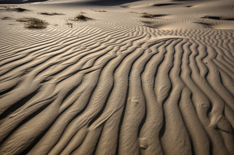 Close-up of Sand Dunes, with Patterns and Textures Visible Stock ...