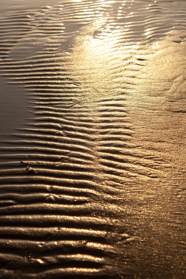 A Close Up of the Sand at Sunset with the Sun Shining through the Wet ...