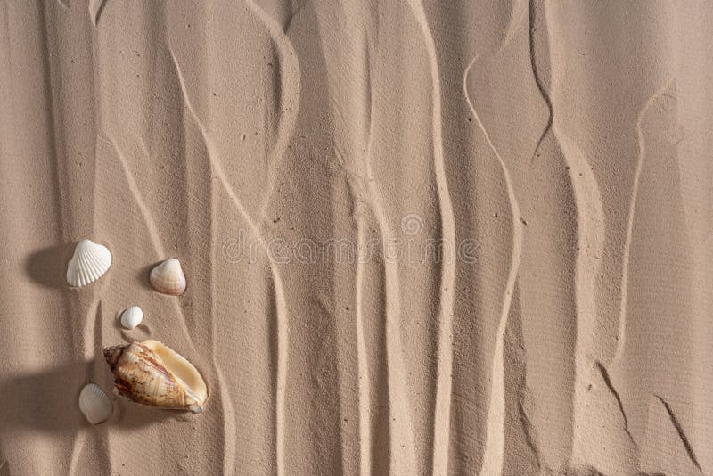 Close Up of Sand Texture with Seashells, Abstract Background and ...