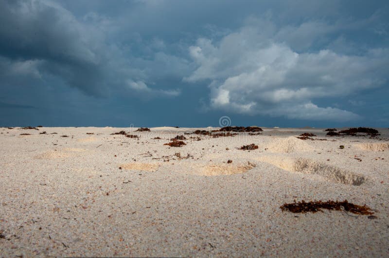 Close-up of a Sandy Beach . Background Stock Photo - Image of east ...