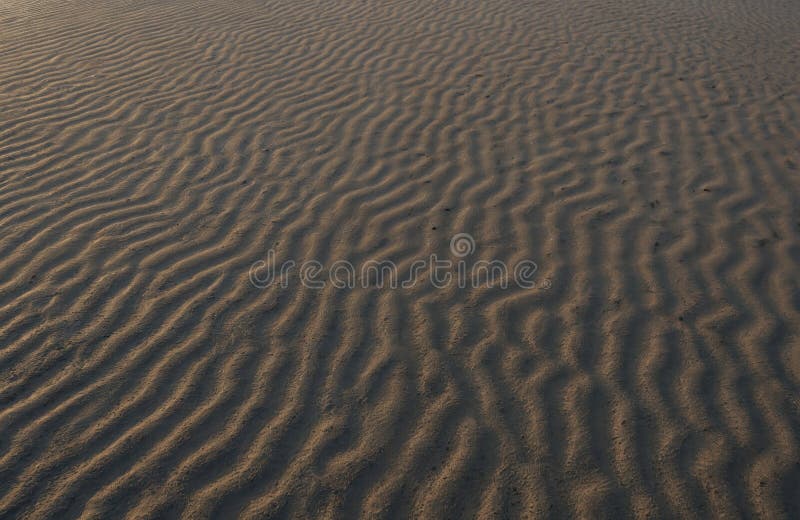 Close-up of Sandy Beach Ripple Marks at Low Tide. Sand Pattern Formed ...