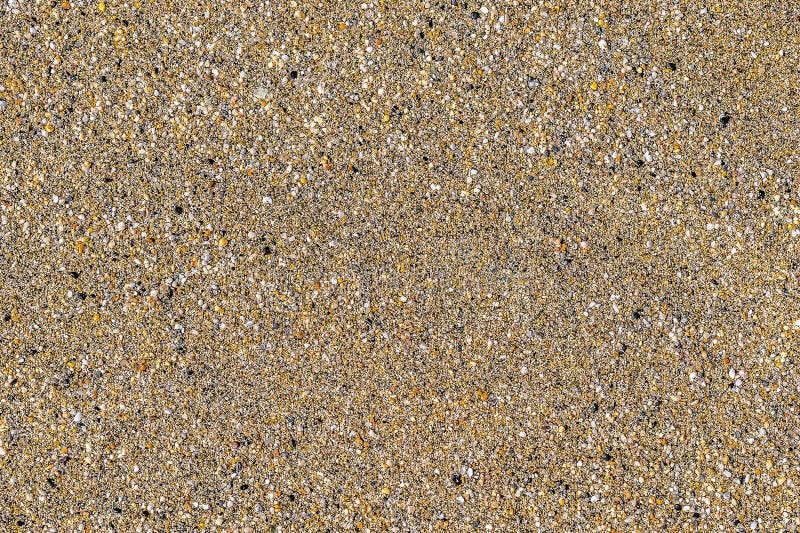 Close-up of a Sandy Beach Surface with a Mix of Fine Pebbles and Grains ...