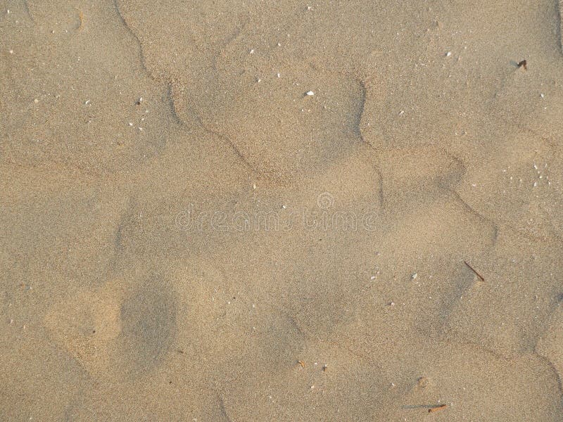 Sandy beach texture stock photo. Image of coast, golden - 178221736