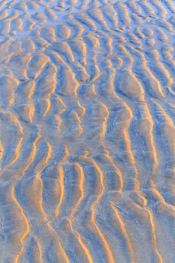 Close Up of the Sandy Beach Texture Stock Photo - Image of outdoors ...