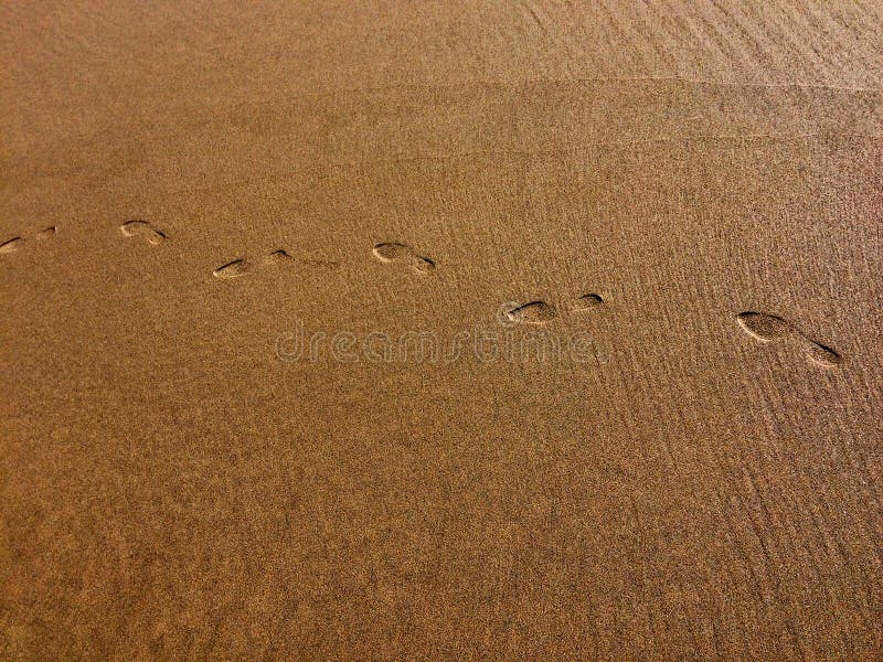 A Close-up of Sandy Ground with Distinct Footprints Embedded Stock ...