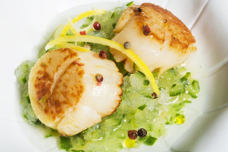 Close-up of scallop dish stock photo. Image of dish, lime - 53915494