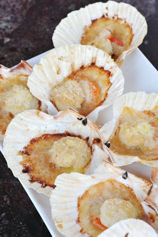 Close up Scallop seafood stock image. Image of omega3 - 33165571