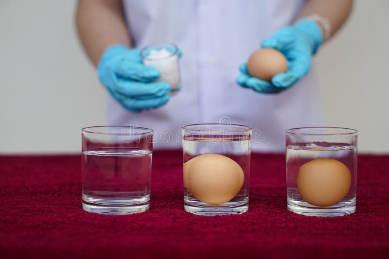 Science Experiment about Eggs. Stock Photo - Image of eggs, asian ...