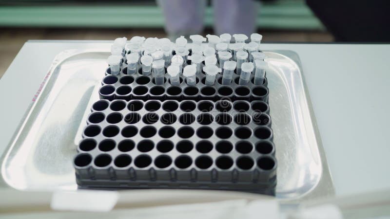 Scientist Placing Eppendorf Tubes in a Rack Inside a Laboratory Stock ...