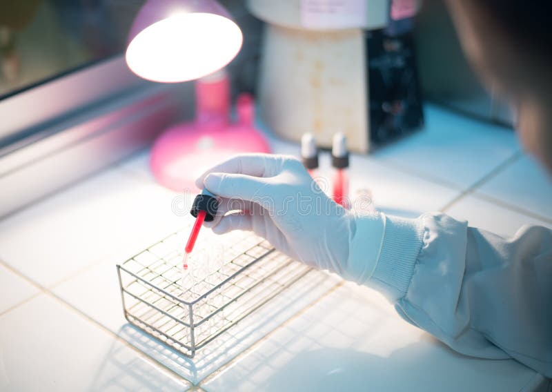 Close-up of Scientist Hand Working Stock Image - Image of experiment ...