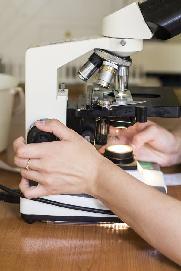 Scientist Hands With Microscope Stock Photo - Image of concept, biology ...
