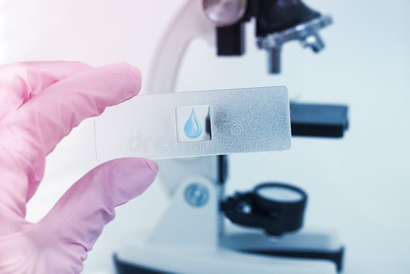 Close-up of Scientist in a Laboratory Microscope with Microscope Slide ...