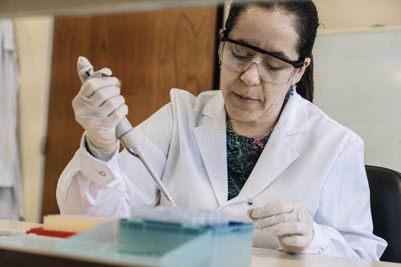 Scientist Pipetting Samples into Eppendorf Tubes. Stock Image - Image ...