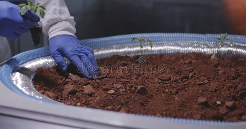 Scientist Planting Seedlings on a Mars Base Stock Image - Image of soil ...