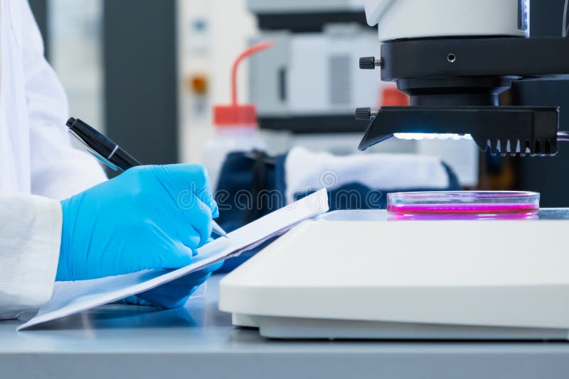Close Up Scientist in Rubber Gloves Making Notes of the Microbiological ...