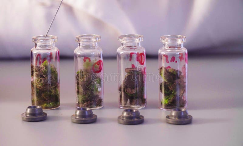 The Scientist`s Hands Pouring Solvent into the Bottles Stock Image ...