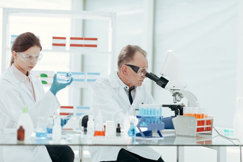 Scientists Conduct Research in the Laboratory Stock Image - Image of ...