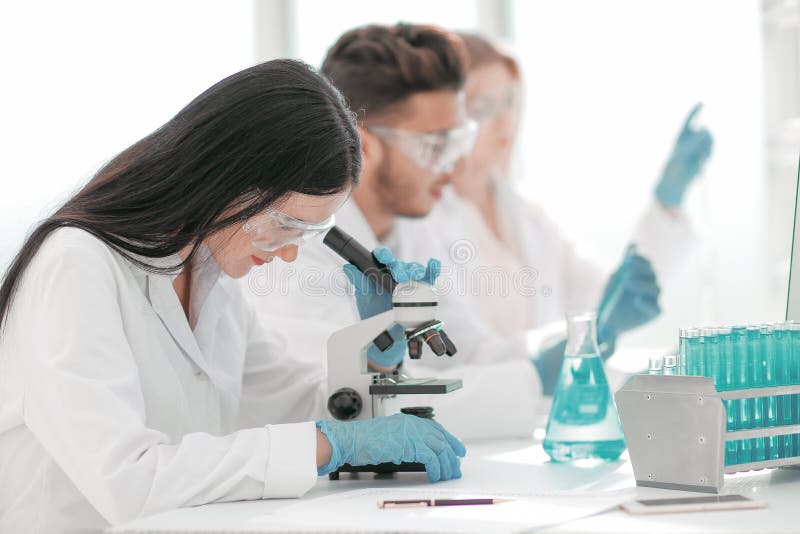 Laboratory Workers Discussing Research Details Stock Image - Image of ...
