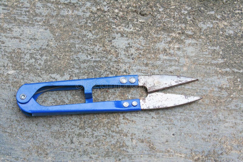 Scissors for cut thread stock image. Image of home, cutting - 134582567