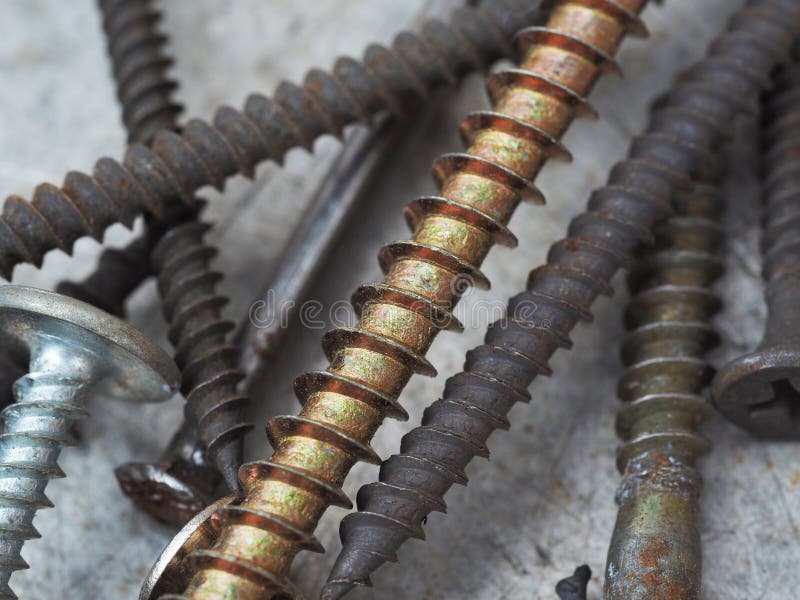 Close-up of Screws of Different Colors and Sizes, Side View, Selective ...
