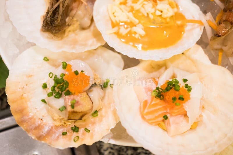 Close Up Seafood on Seashell Stock Photo - Image of freshness ...