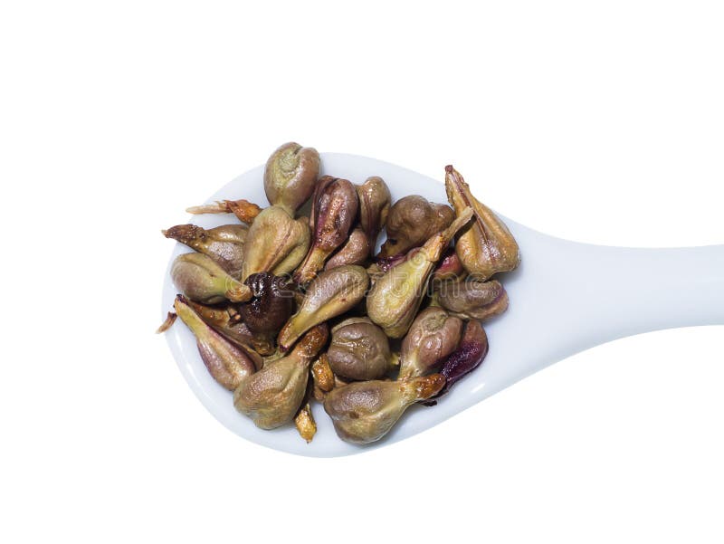 Close up seed of grape stock photo. Image of transparent - 283646824