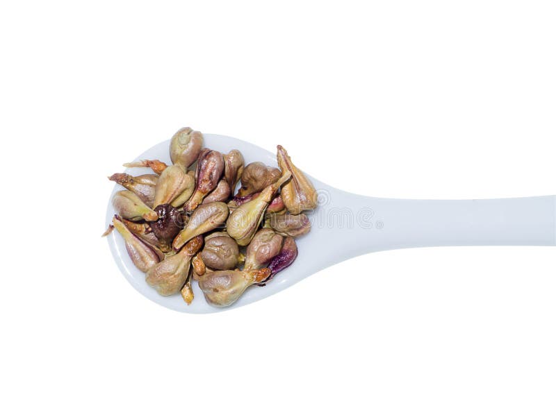 Close up seed of grape stock image. Image of macro, freshness - 283646831