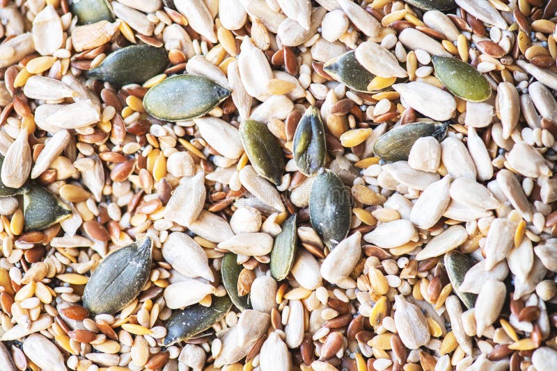 Close Up of Seed Mix. Healthy Eating Concept Stock Image - Image of ...