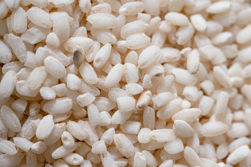 Close up seeds short rice stock image. Image of uncooked - 168499735