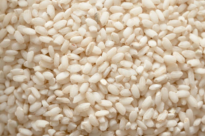 Close up seeds short rice stock image. Image of organic - 168499739
