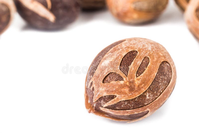 Close Up and Selective Focus on the Dried Nut Meg at Foreground Stock ...