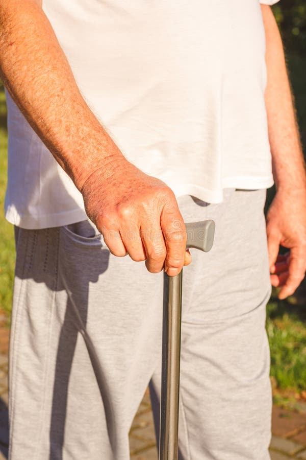 Close Up of Senior Man Hands Holding Stick Stock Image - Image of bench ...