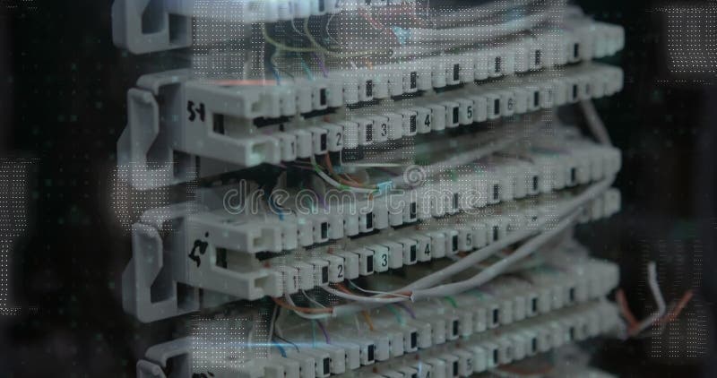 Close-up of Server Hardware with Numerous Cables and Connections Stock ...