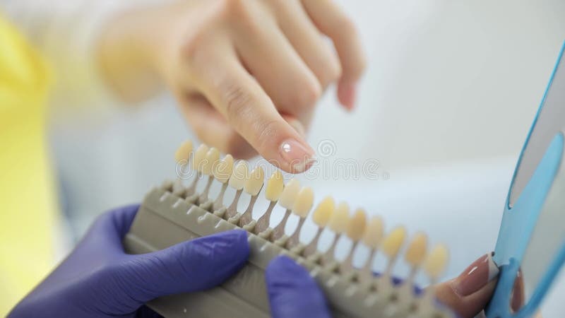 Close-up of a Set of Mock-up Teeth. Models of Teeth for Installation ...