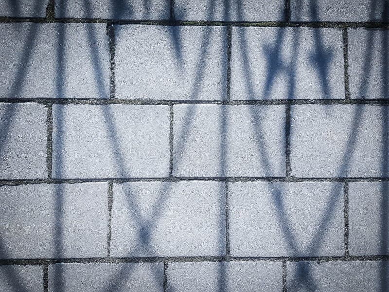 Close Up. Shadow on the White Pavement Tile Stock Photo - Image of grey ...