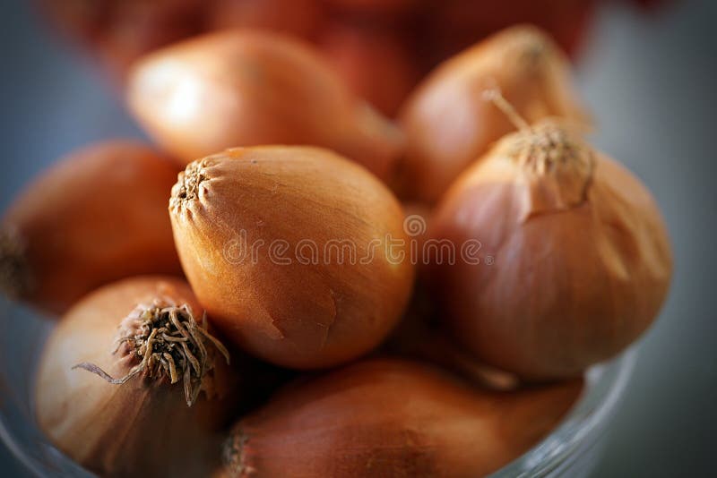 Close up of Shallots stock photo. Image of healthy, background - 139520968