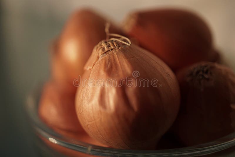 Close up of Shallots stock photo. Image of healthy, close - 139521496